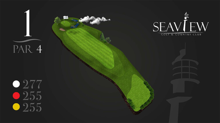 Home - Seaview